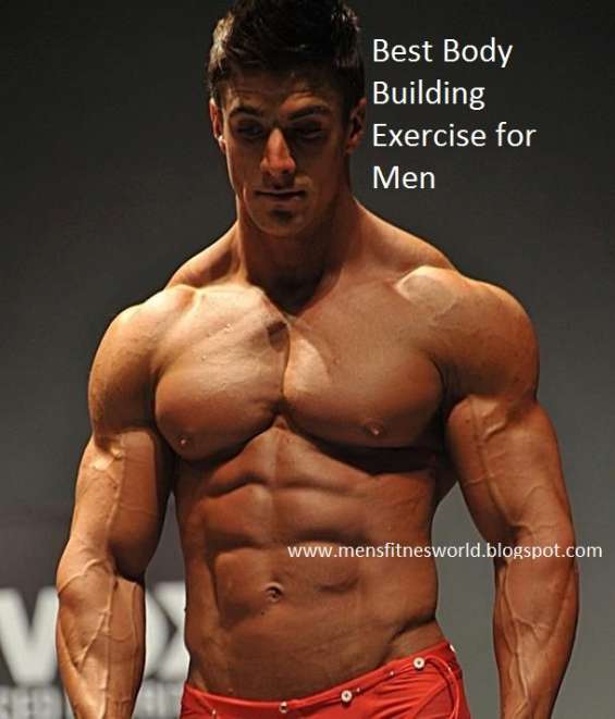 Best body building fitness info website for men in Hyderabad - Others ...
